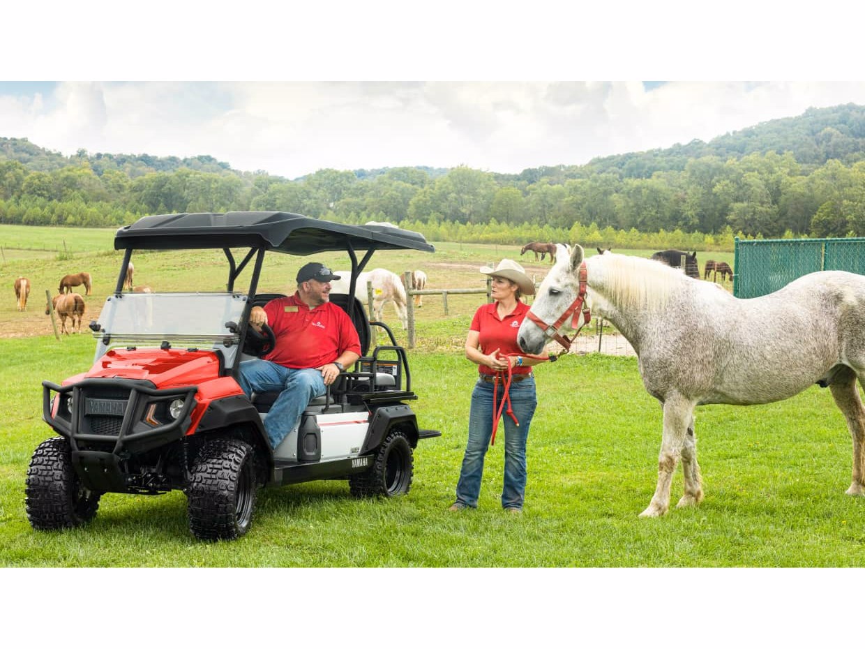 UMAX Rally 2+2™ Slide 1